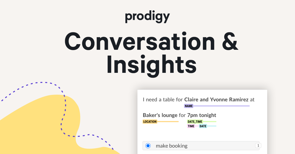 Conversation & Insights · Prodigy · An annotation tool for AI, Machine Learning & NLP